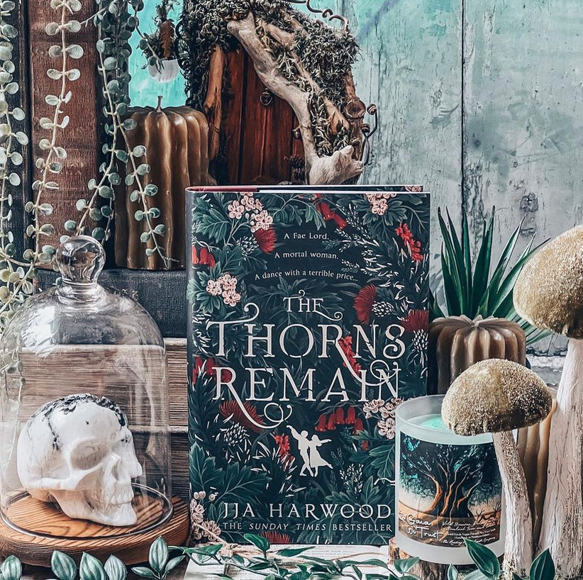 Past Boxes | The Locked Library