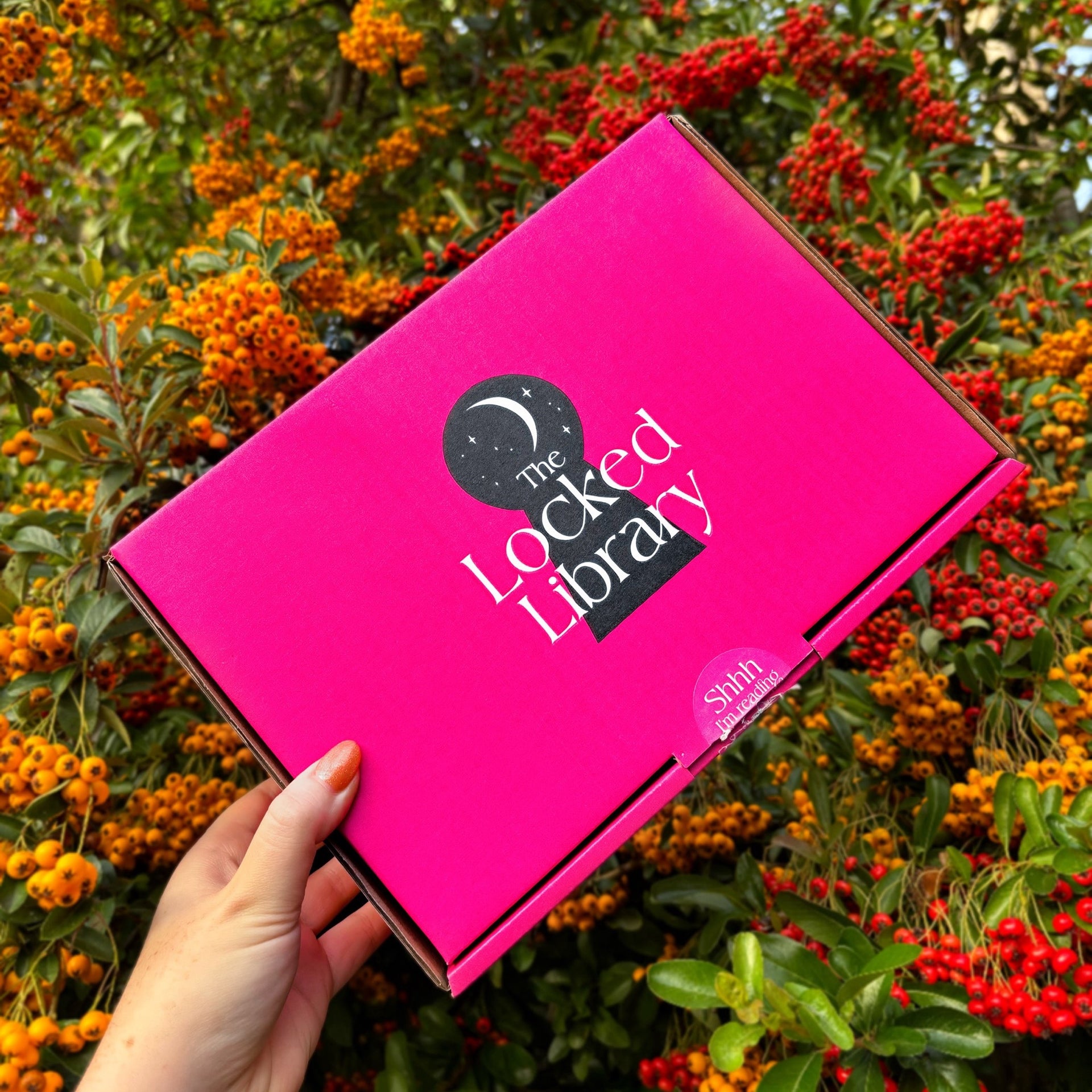 The Locked Library | The Locked Library