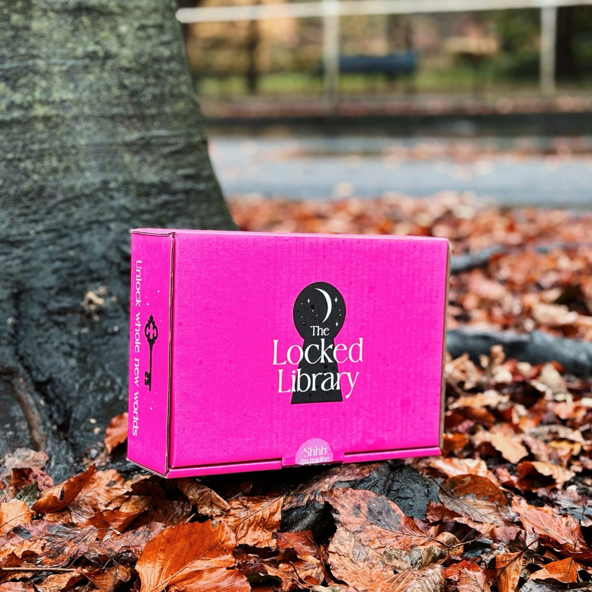 Choose Your Subscription: | The Locked Library