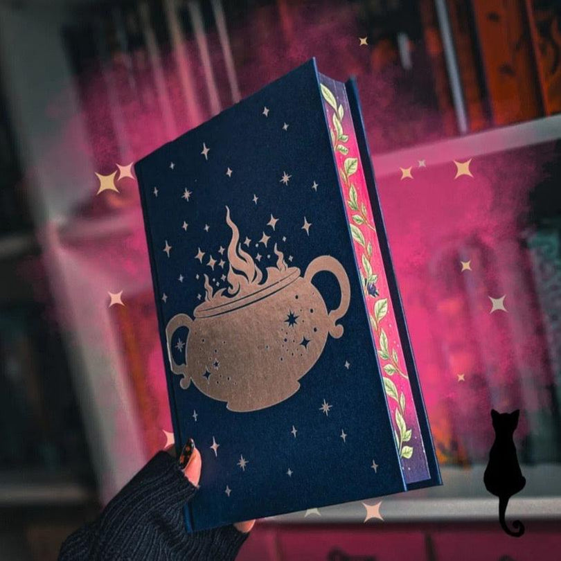 Past Boxes | The Locked Library