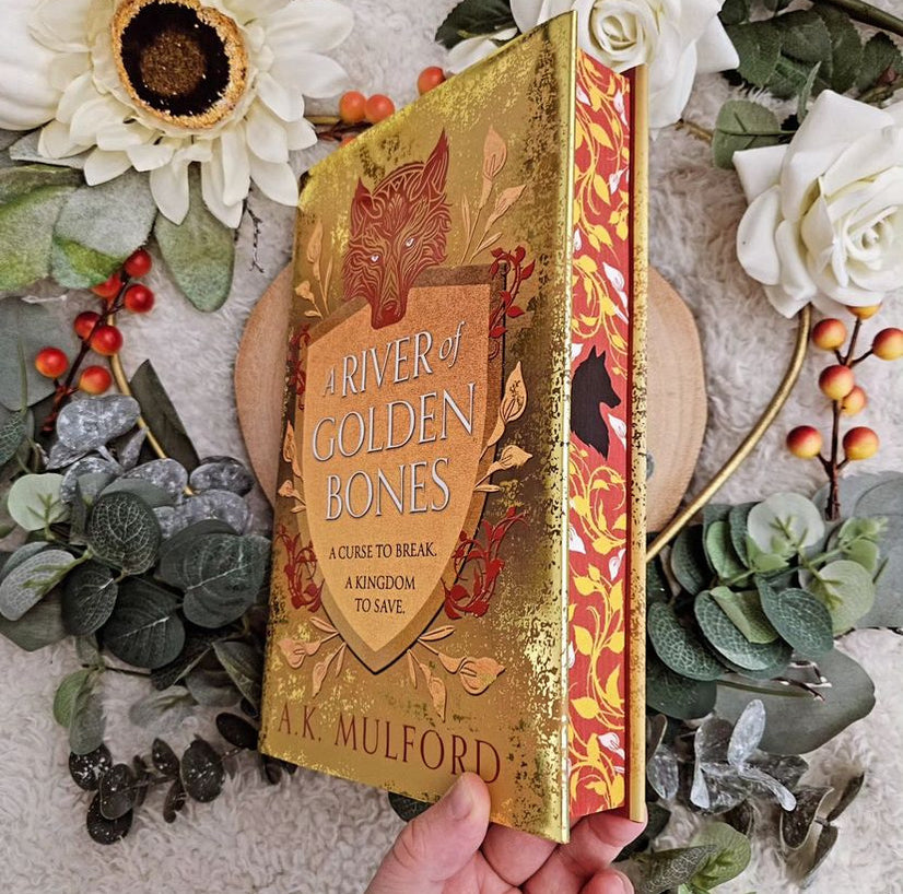 Past Boxes | The Locked Library